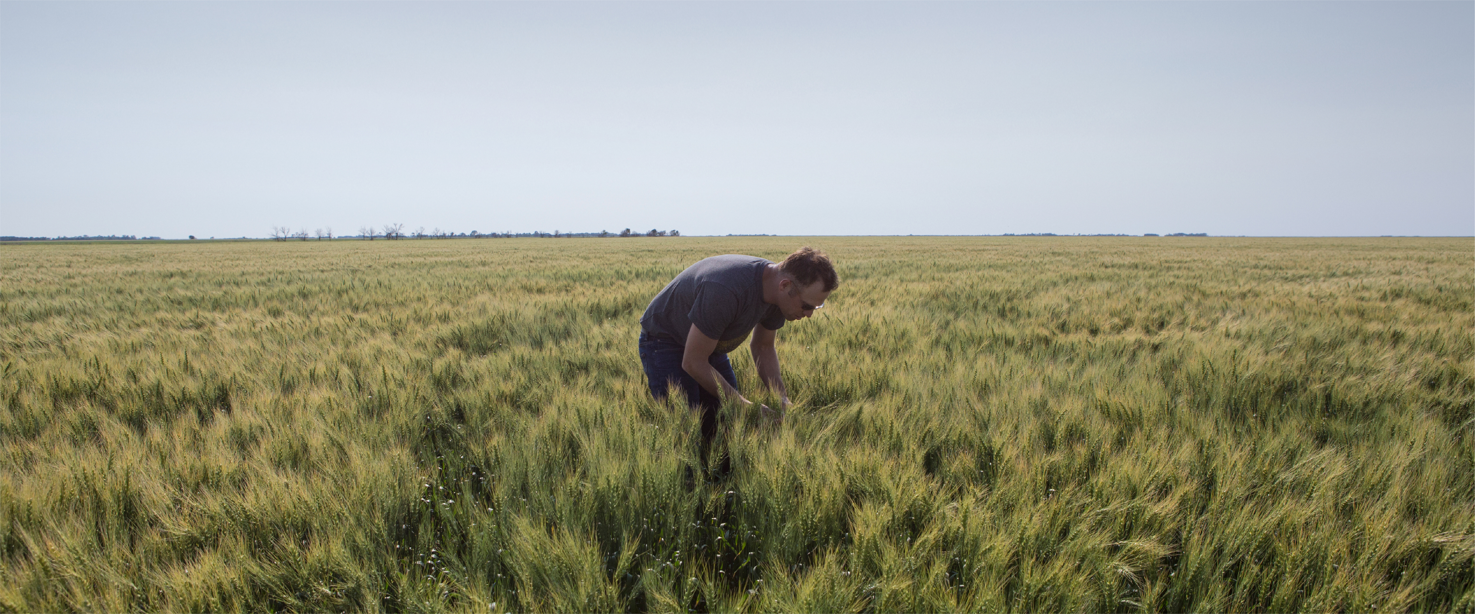 An Inside Look: Monitoring And Maintaining Field Health