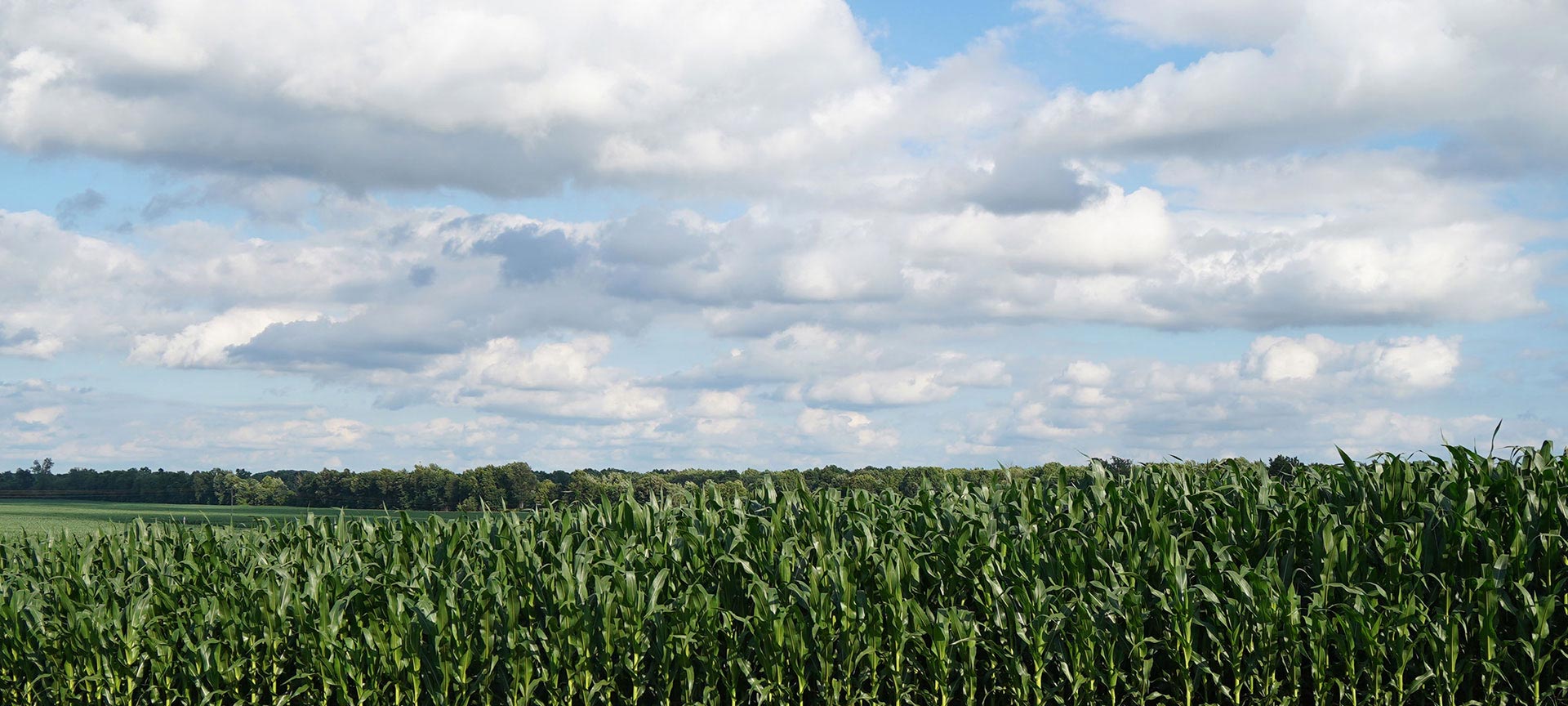 Detecting Clouds: How Machine Learning Improves Field Health Maps