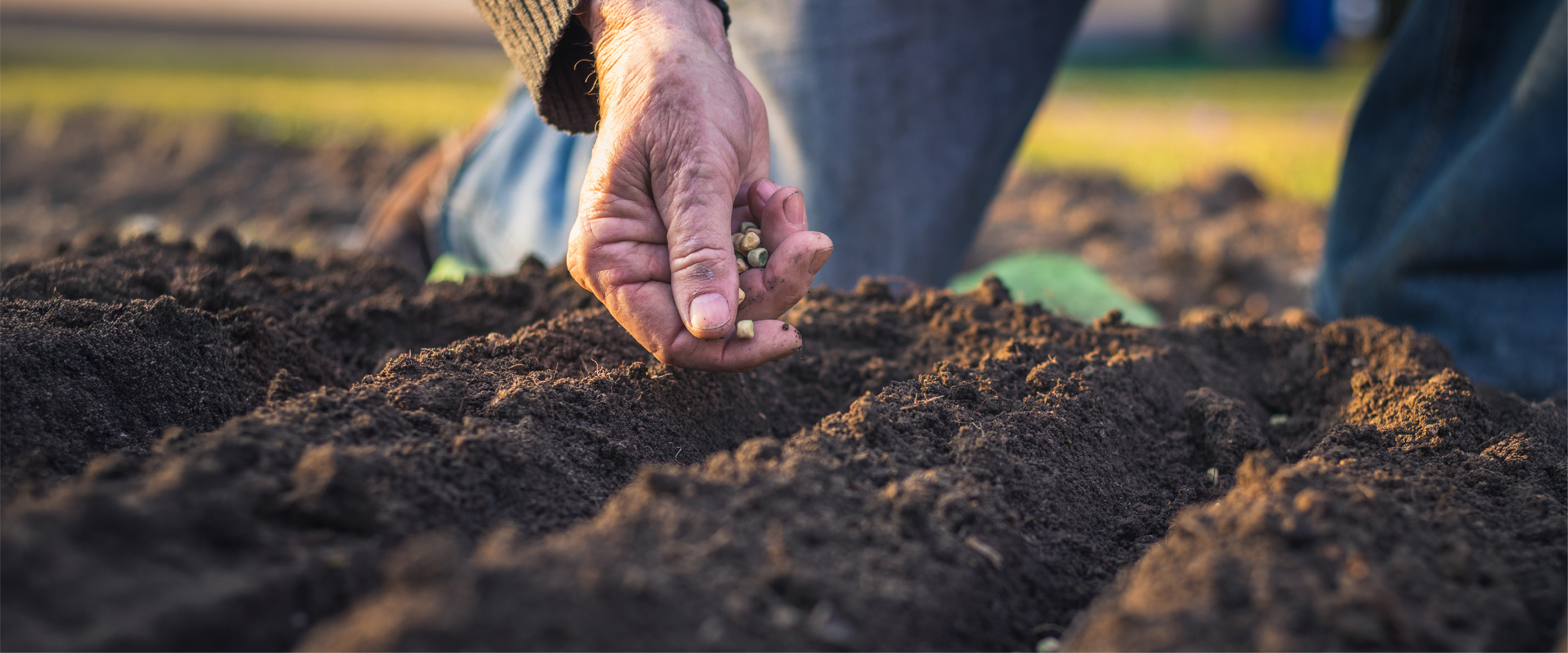 Variable-Rate Seeding: Making Every Hybrid Count