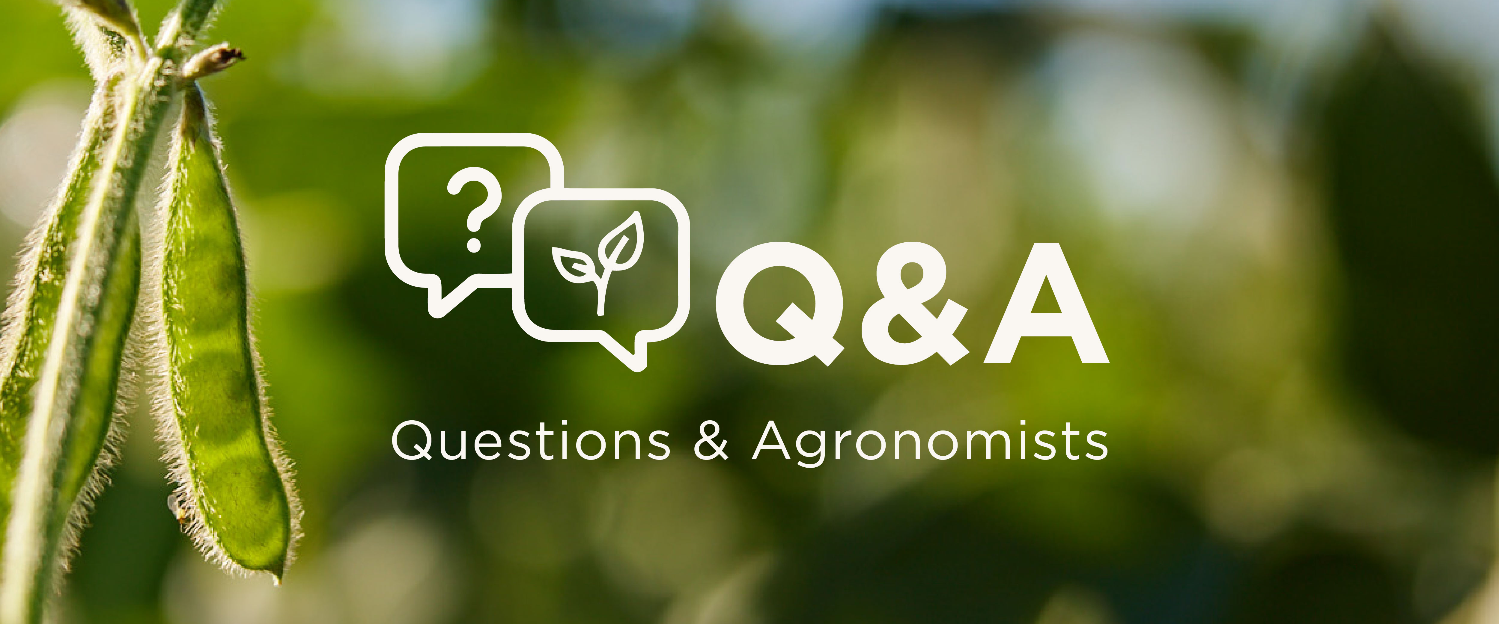 Q & A – Questions and Agronomists featuring Melody Robinson of Clark ...