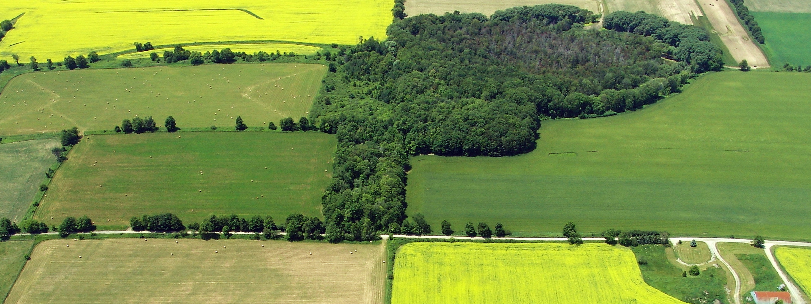 Understanding performance is all in the details