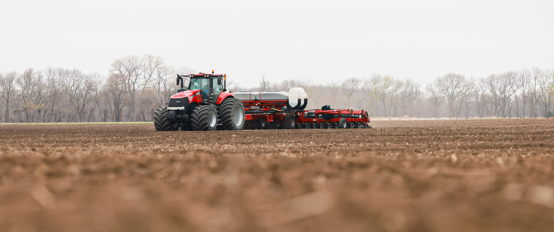 Field Research: How To Get The Most From Split-Planting Trials